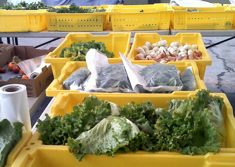 Press Release: San Francisco Public School District Adopts Good Food ...